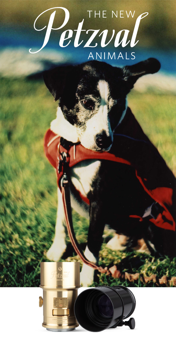 The New Petzval Animals